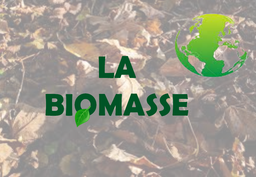 Comment produire l'énergie avec la biomasse?