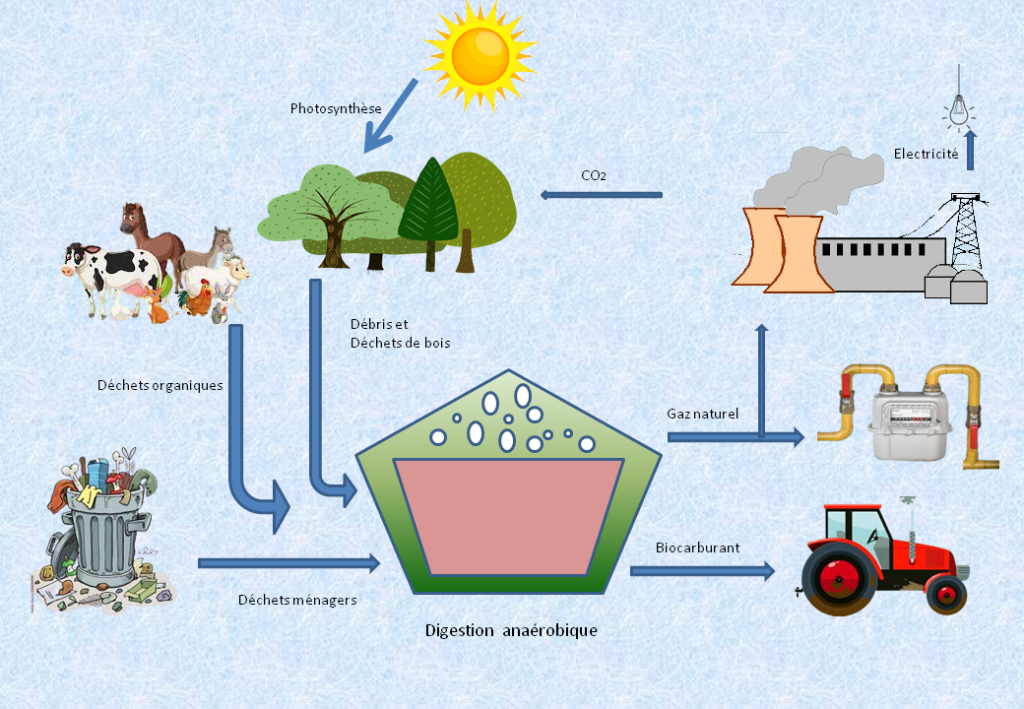 Comment produire l'énergie avec la biomasse?